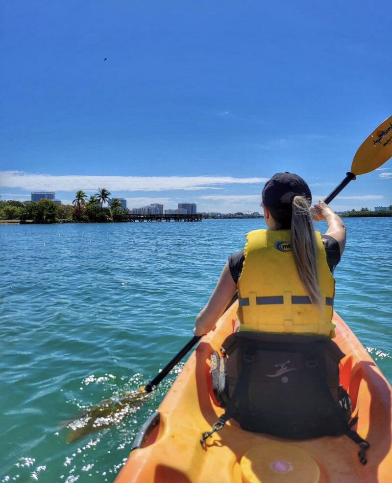 Florida Tracks and Trails: A Nature Lover's Guide to Hidden Gems ...