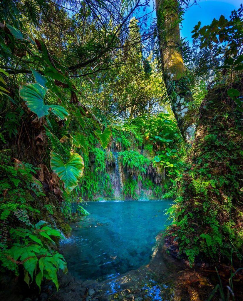 Patch of Heaven Sanctuary: Reawakening the Five Senses - Breathe Miami