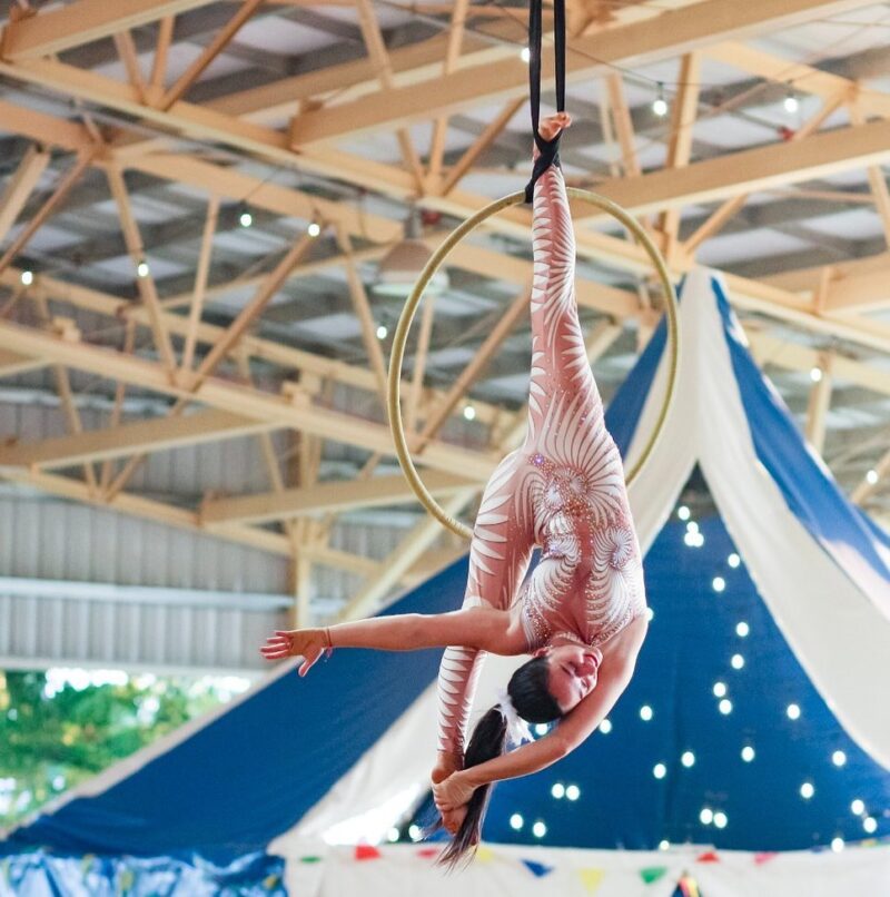 Enter the Enchanting and Eerie World of Haunted Circus Miami 2023 ...