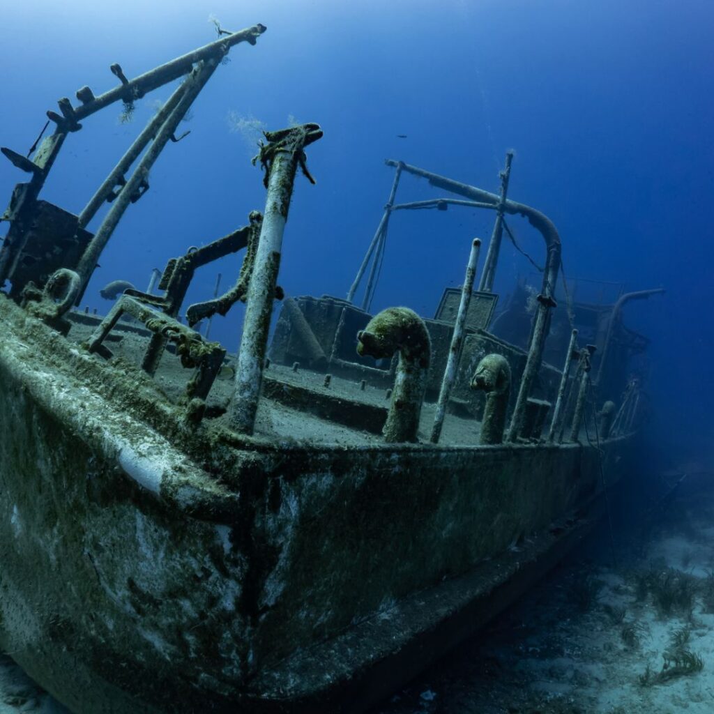 The Top 8 Instructors for Scuba Diving in Miami - Breathe Miami