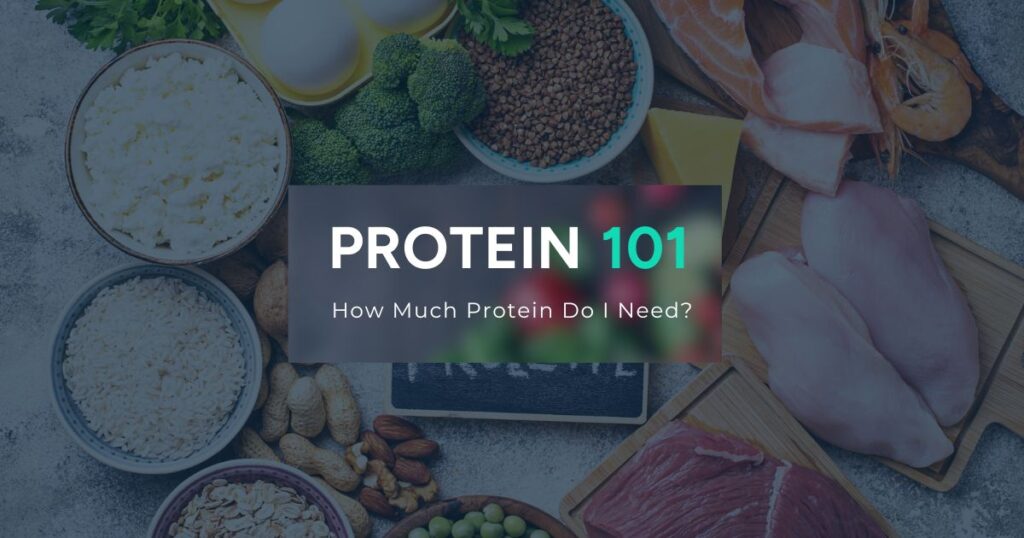 Protein 101: How Much Protein Do I Need? - Breathe Miami